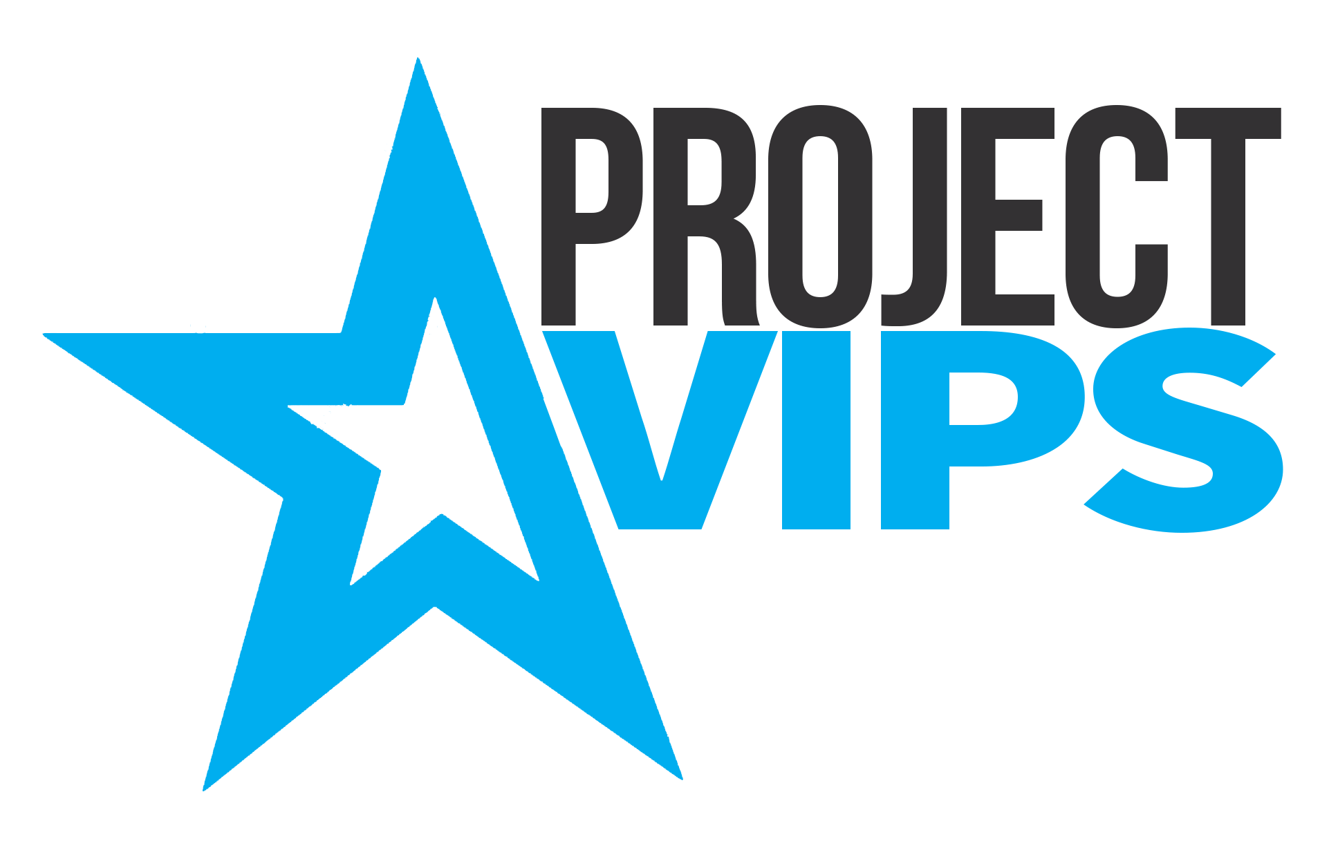 Project VIPs Business-In-A-Box l Your Own Done-For-You Businesses
